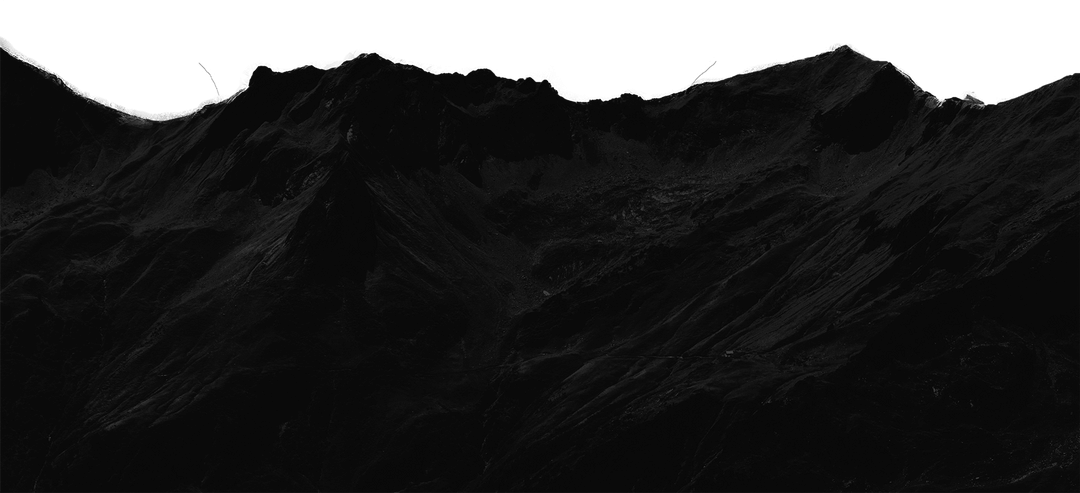 Whole Feast Protein Supplement | The Fittest